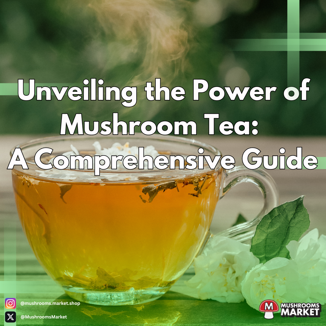 The Power of Mushroom Tea: Health Benefits & Brewing Guide