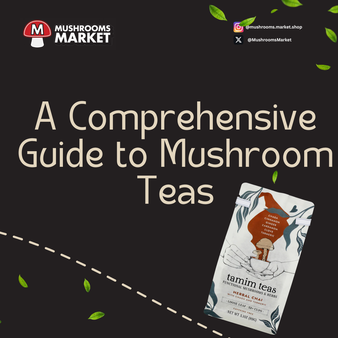 Mushroom Teas: Benefits for Health, Immunity, & Wellness | Tamim Teas