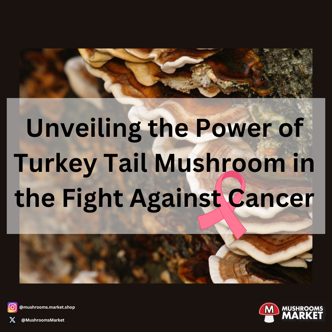 Turkey Tail Mushroom: Potential Anticancer Benefits and Uses