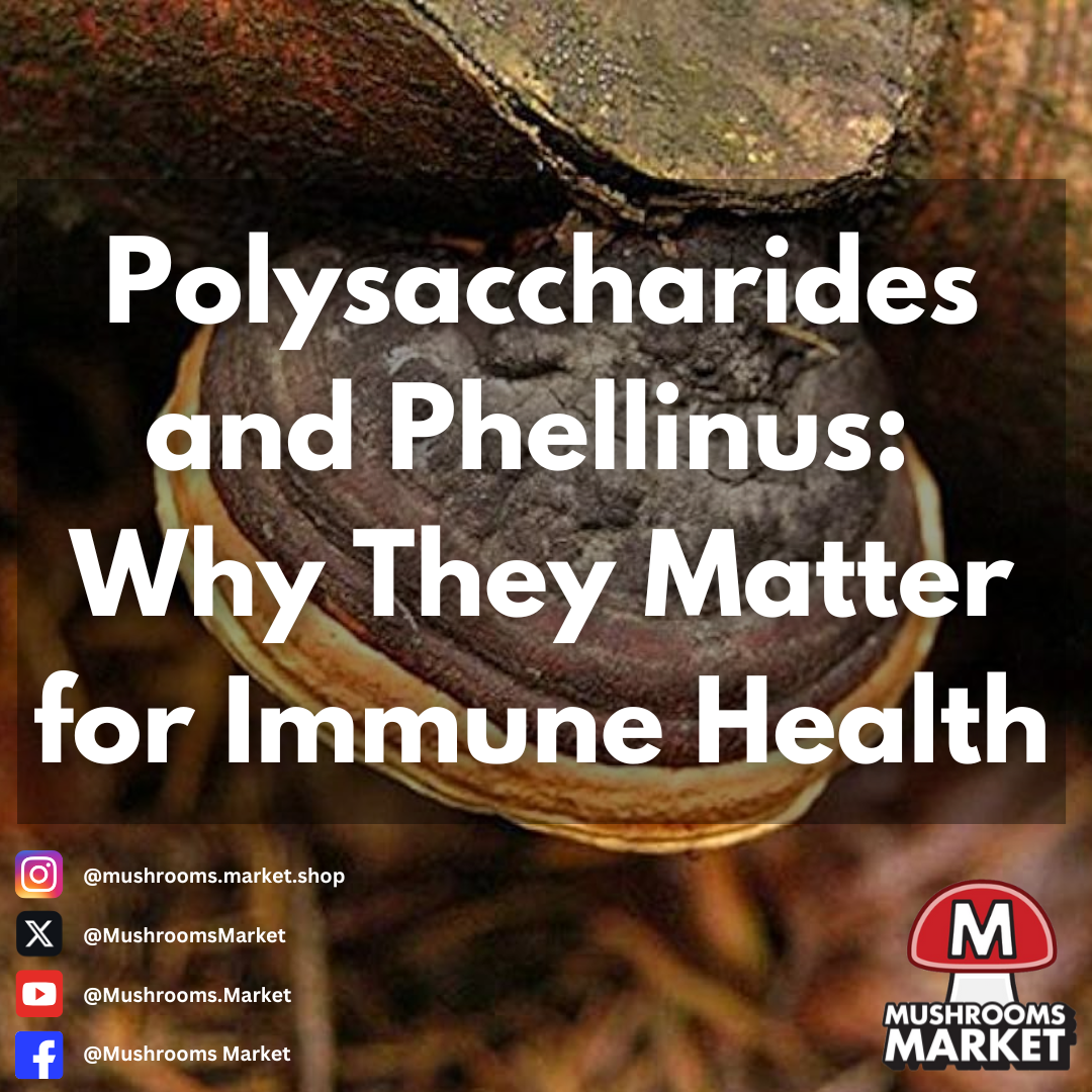 Polysaccharides and Phellinus: Why They Matter for Immune Health ...