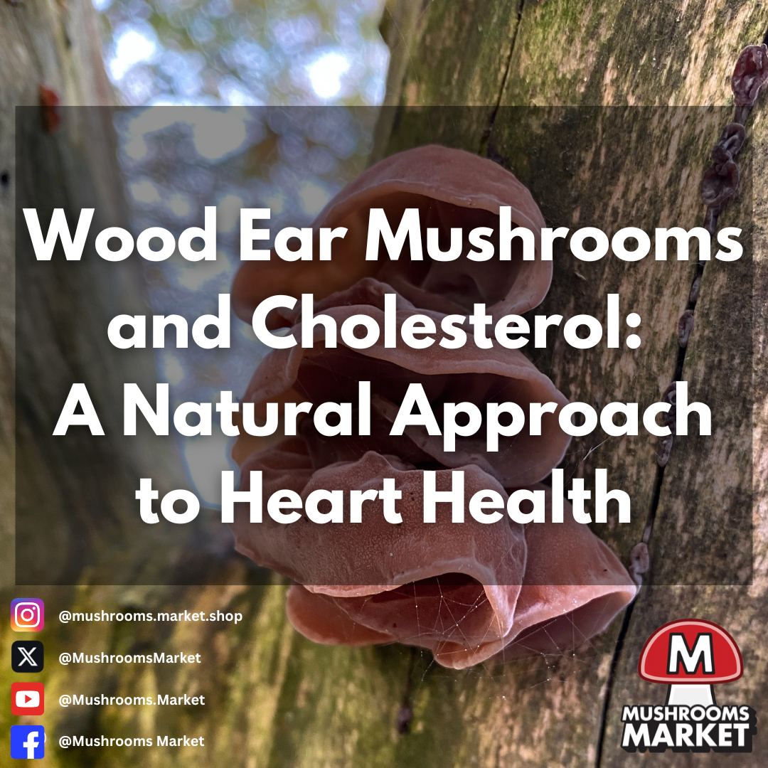 Wood Ear Mushrooms and Cholesterol: A Natural Approach to Heart Health ...