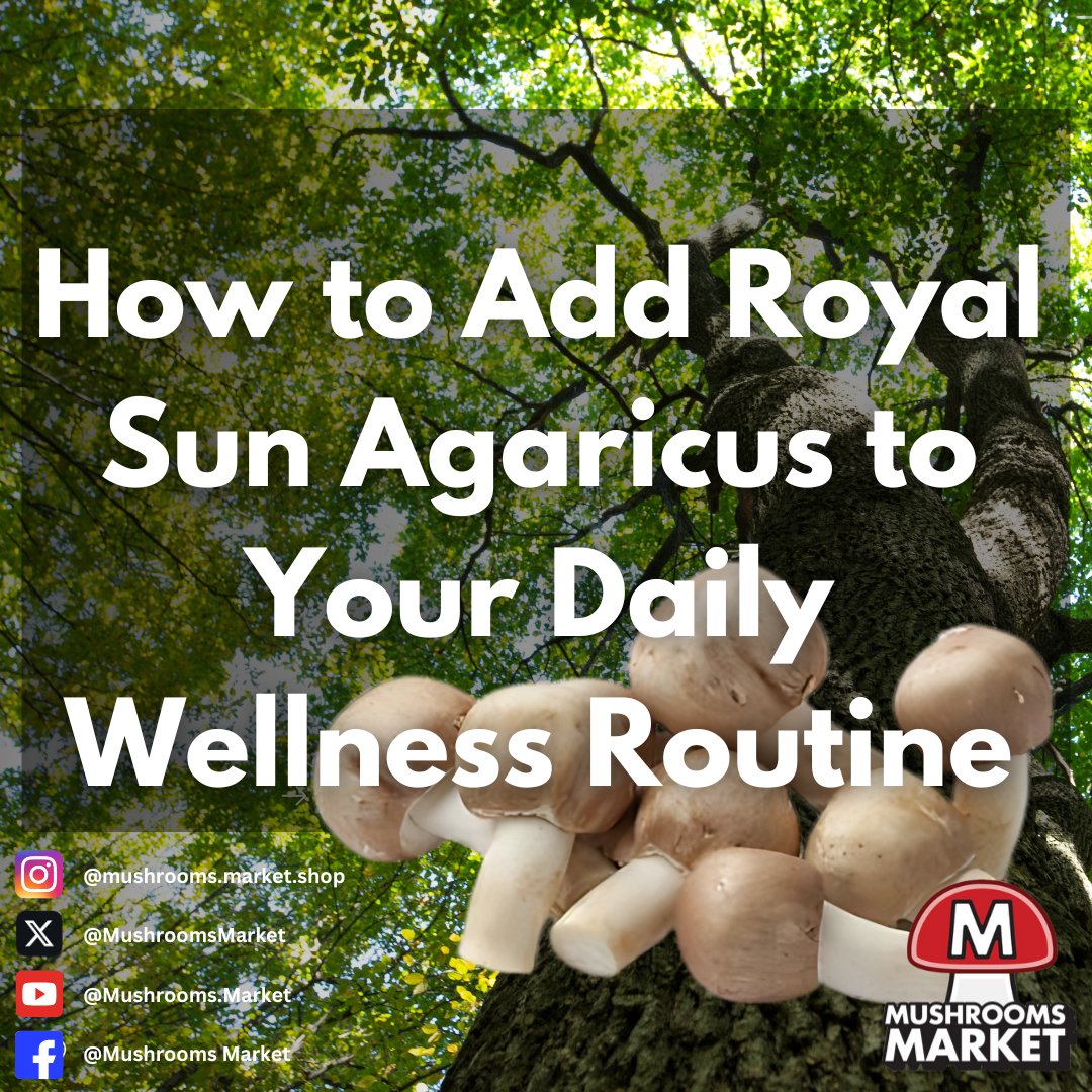 How to Add Royal Sun Agaricus to Your Daily Wellness Routine ...